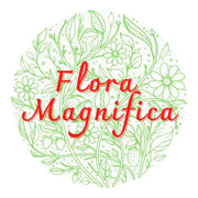 Monstera Burle Marx's Flame – Flora Magnifica Australia